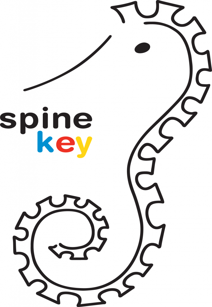 Spinekey S.r.l. – www.spinekey.com